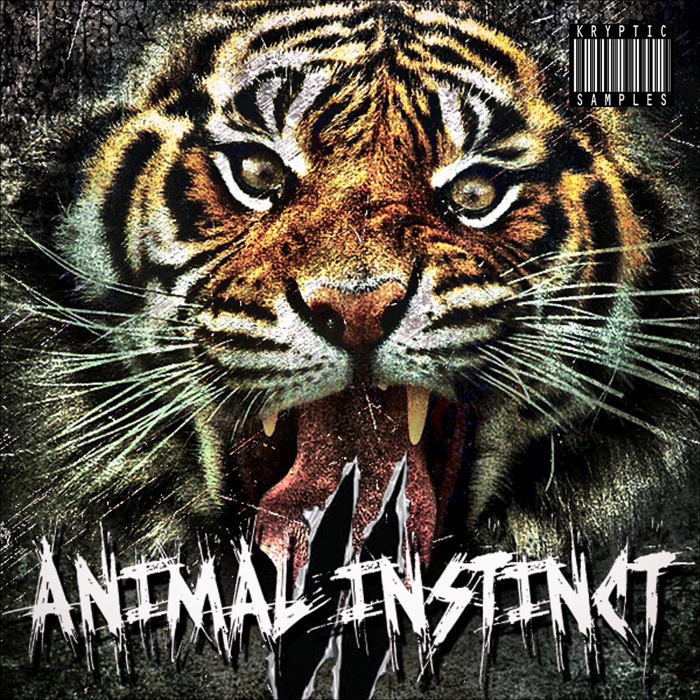 ULTIMATE HIP-HOP BUNDLE Vol.2 By Kryptic Samples – vstalarm.com